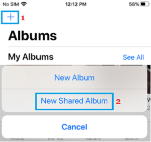 How to Share an Album on iPhone (2023): The Complete Guide